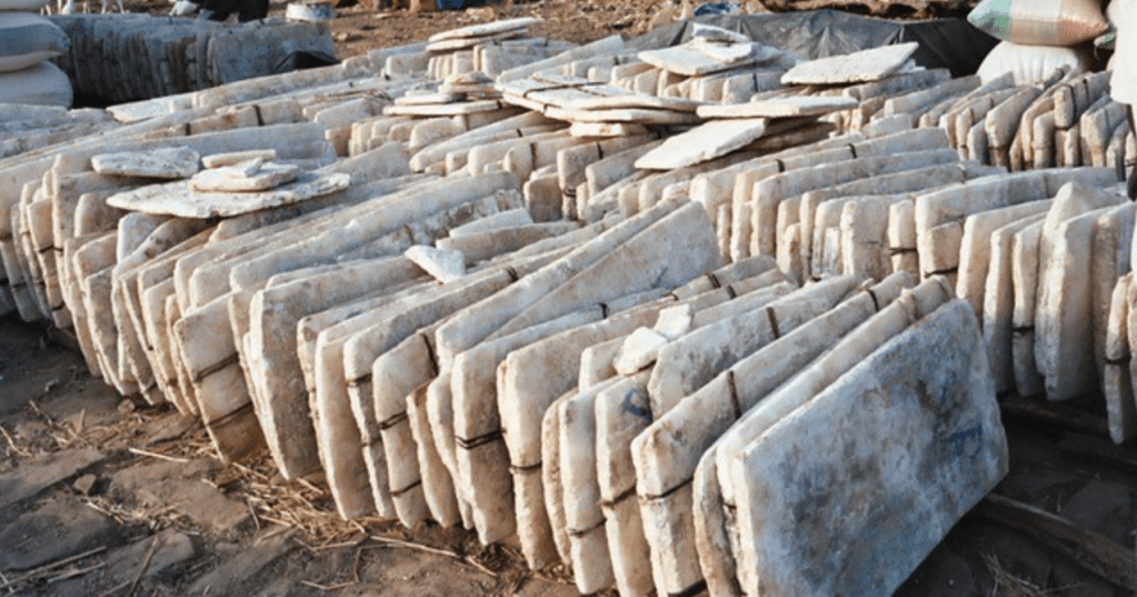 Mansa Musa: Glitter and Gold, streaming now… | Coffee Bookshelves